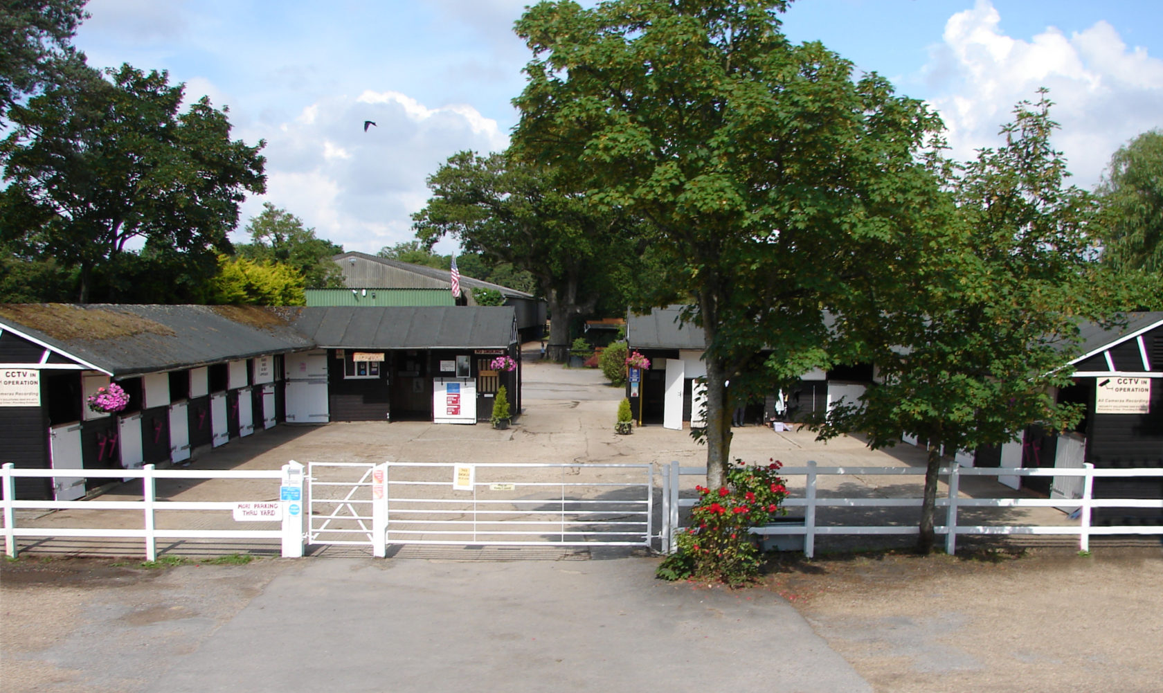 Riding Lessons Pony Trails Forest Rides In Traditional Or Western Saddles
